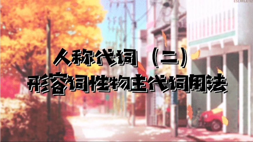 Sunny老师带你学英语——人称代词(二)形容词性物主代词用法