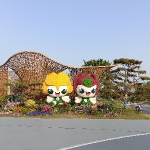 不要执着于诗和远方 