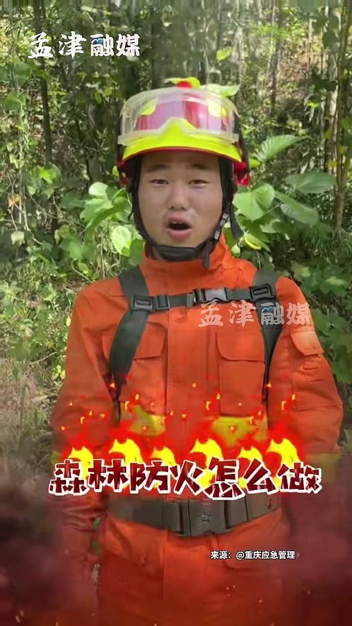 【时刻紧绷安全弦】夏季森林火灾高峰期,牢记这些安全知识,进入森林...