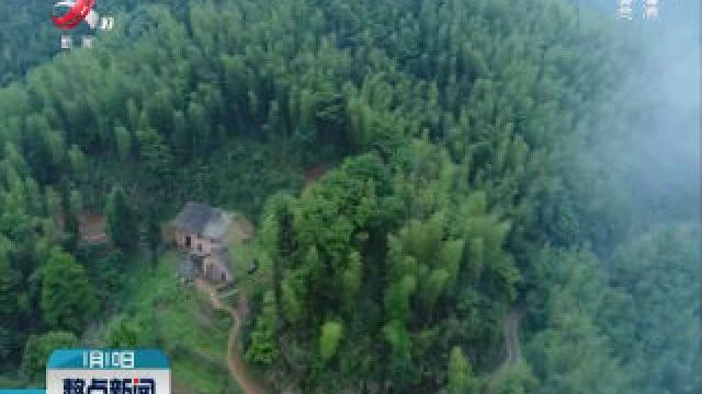 江西出台林权抵质押贷款管理办法