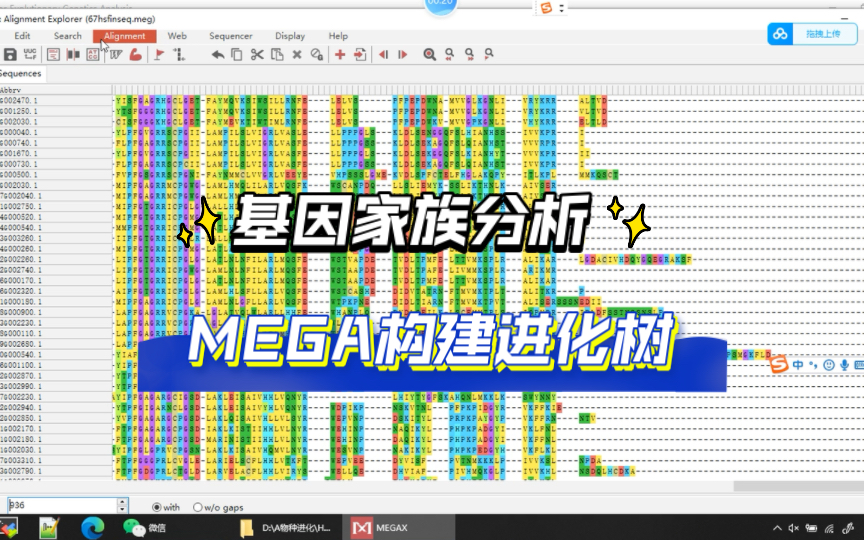 【基因家族分析】1.2 MEGA构建系统进化树