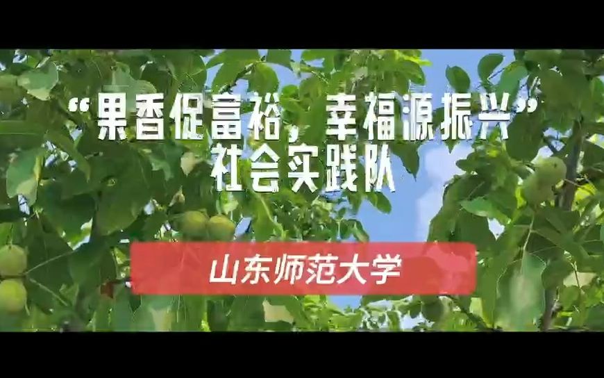 山东师范大学“果香促富裕,幸福源振兴”社会实践队赴山东省枣庄市...