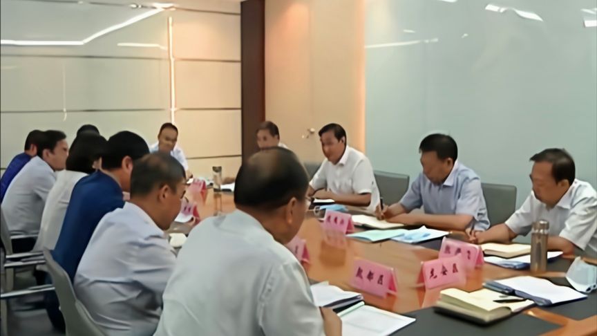 我市召开市域社会治理现代化试点工作汇报