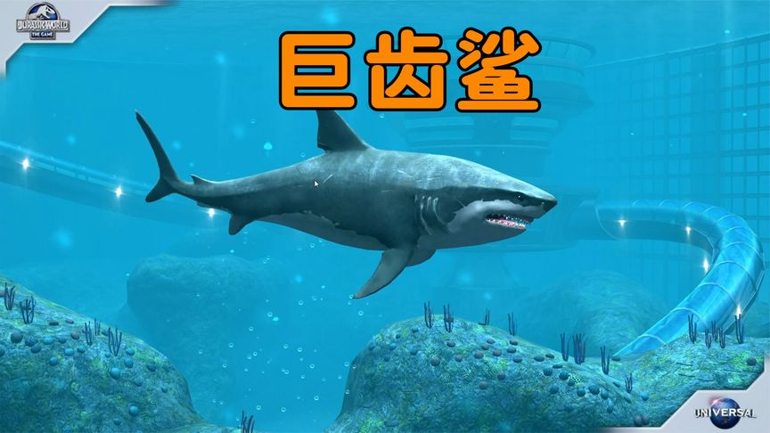 侏罗纪世界第306期:巨齿鲨是史上最强生物
