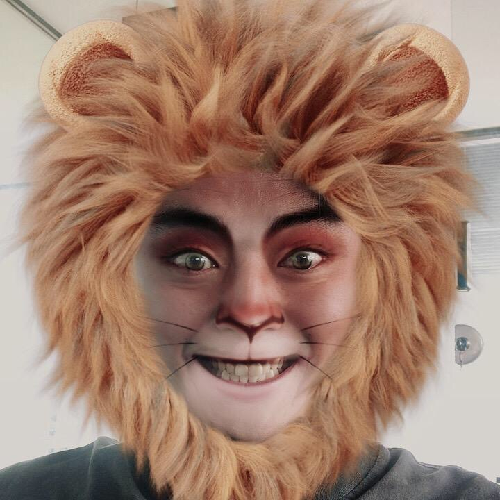 汤姆是个摄影师 