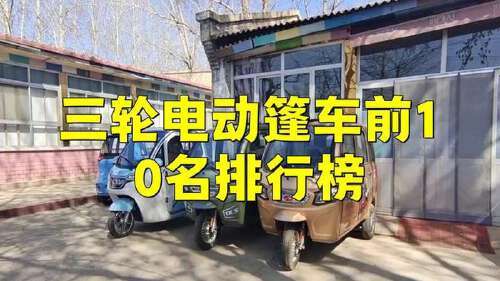 2024十大热销三轮电动篷车实测:第一名性价比惊人!