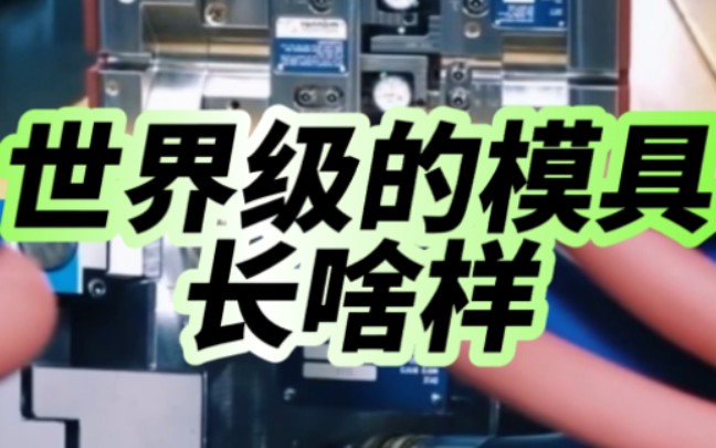 看看世界级的模具制造商做出来的产品