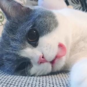 杠铃好物推