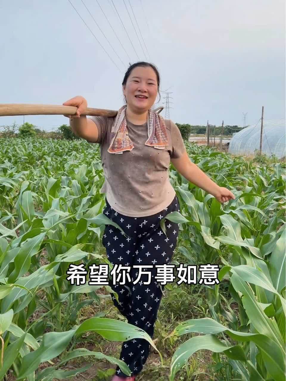 发一个台风,没来之前的视频!没想到一阵台风过后全吹倒了