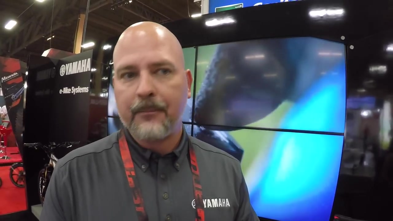 2017雅马哈电动助力升级套件(PW Series, Haibike, Giant)