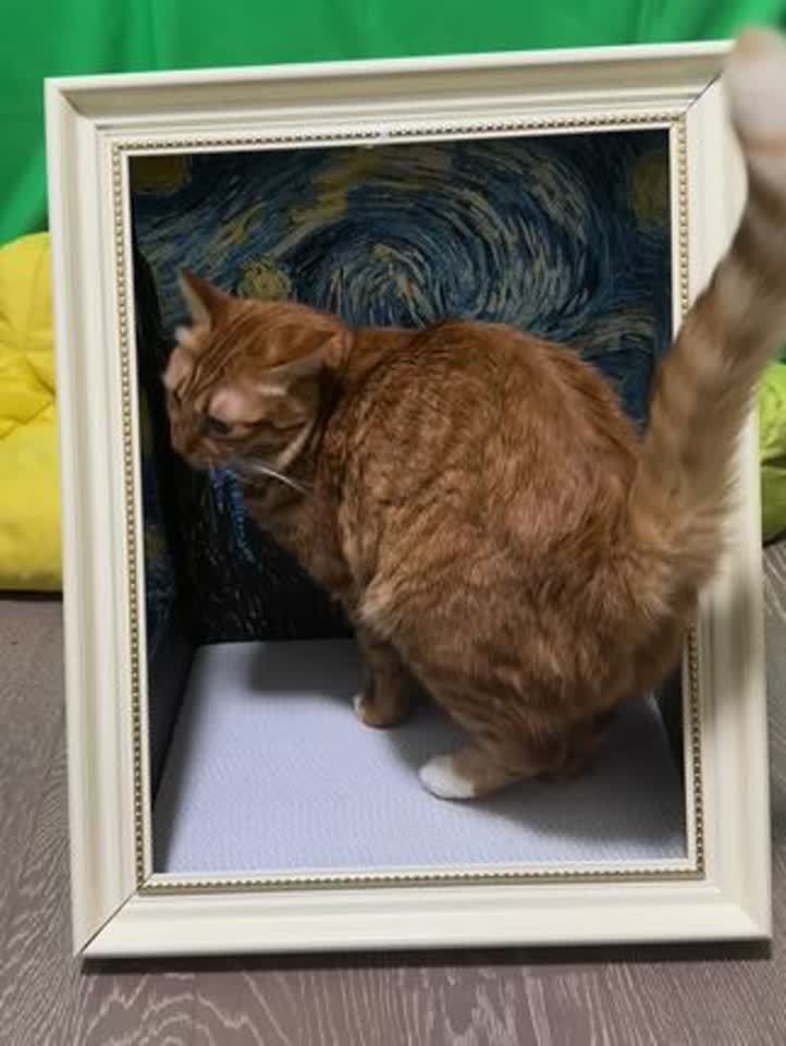 ...行业都卷成这样了吗?果然人类社会的进步离不开猫咪啊(组装教程点...