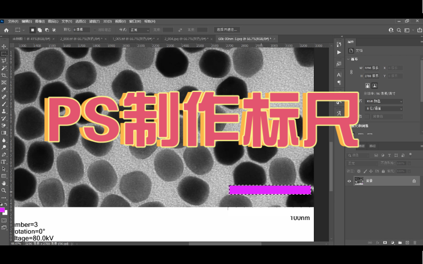 每天一个小技巧_PS针对不同放大倍率照片设定统一标尺