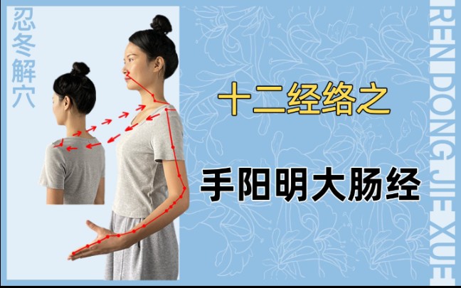 十二正经之手阳明大肠经经络