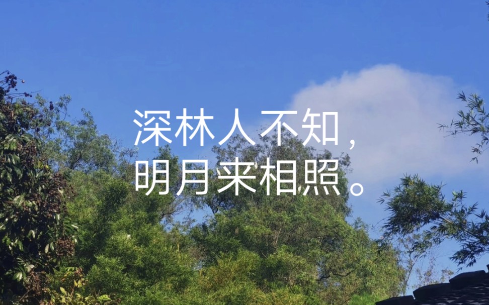 唐诗三百首(竹里馆[唐代]王维)