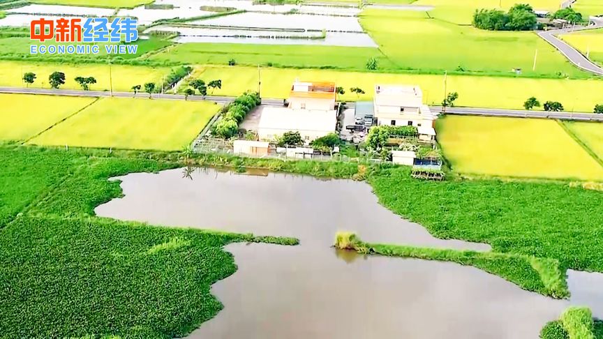 保护15.46亿亩基本农田红线,专家:应提高建设用地的使用效率