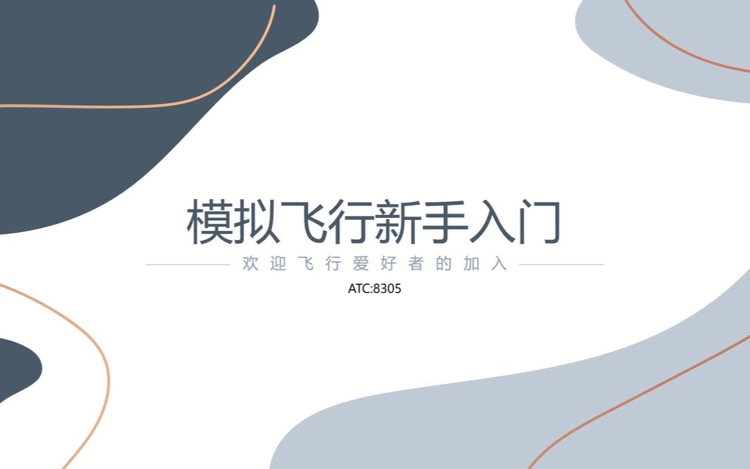 8305:模拟飞行新手入门推荐平台介绍