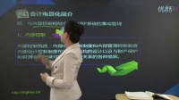 01、第一章 会计电算化概念1