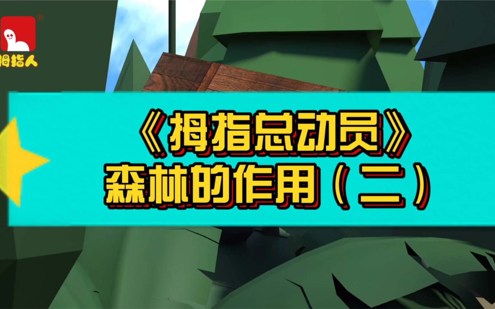 森林的作用（二）