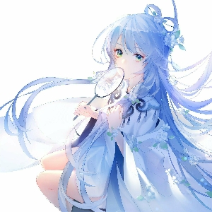 局长Nova00516 