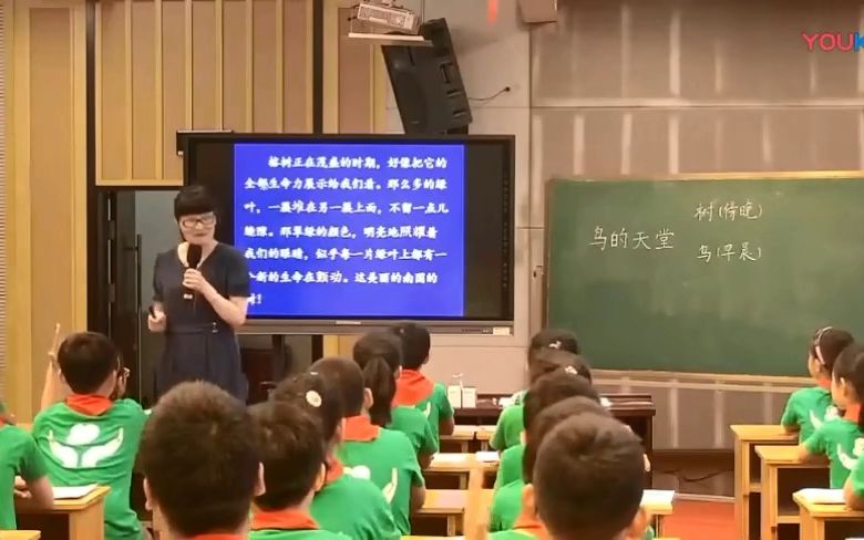 名师优秀课例展播:五年级上册《鸟的天堂》新课标示范课