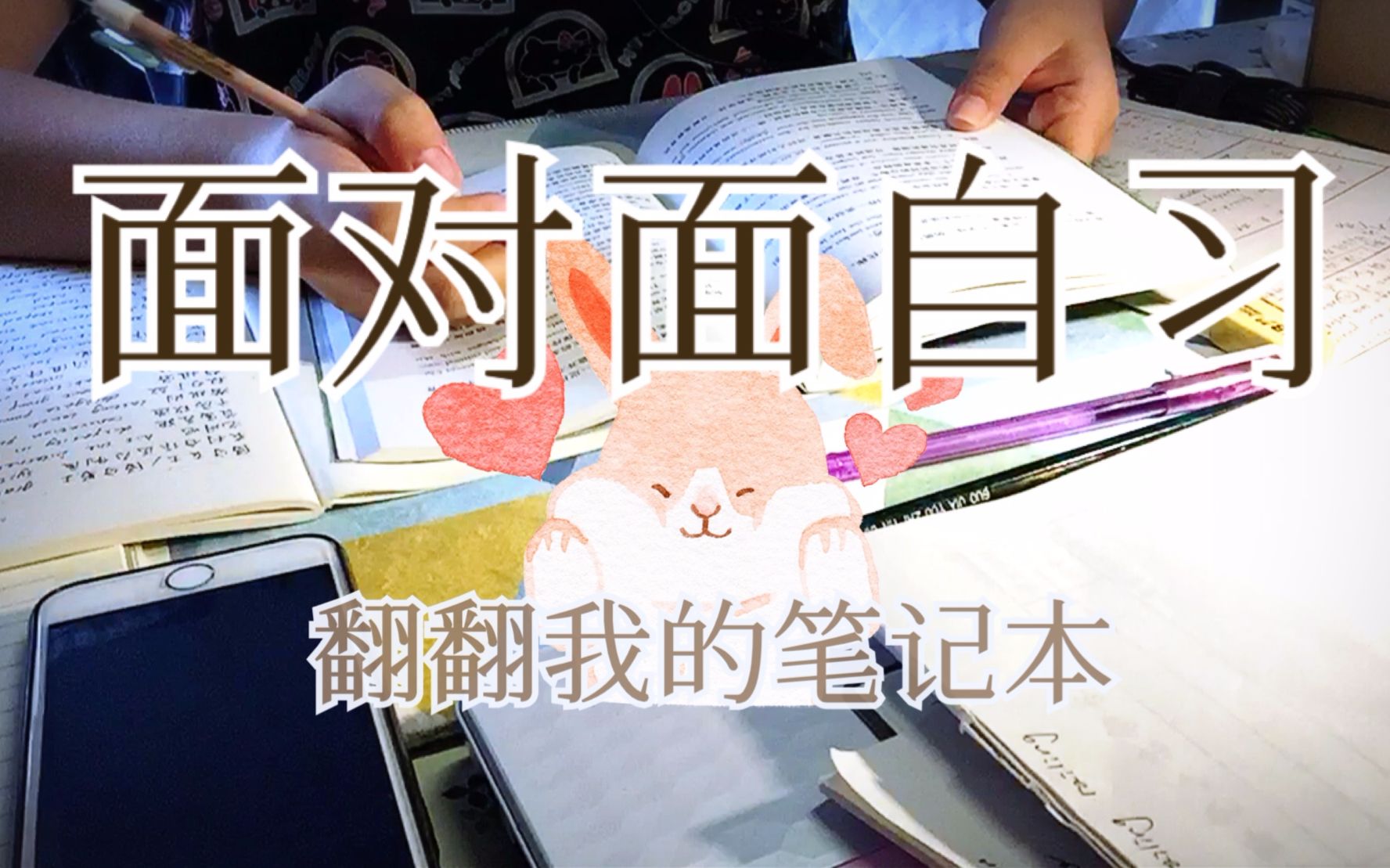 【英语学习】{有声} 面对面自习+翻翻我的笔记本(备考CATTI)