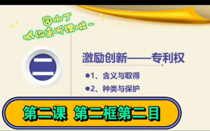 高中政治选择性必修二 第一单元第二课第二框 保障知识产权 之专利权