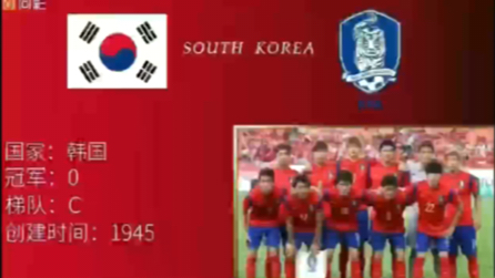 #2022卡塔尔世界杯 球队巡礼