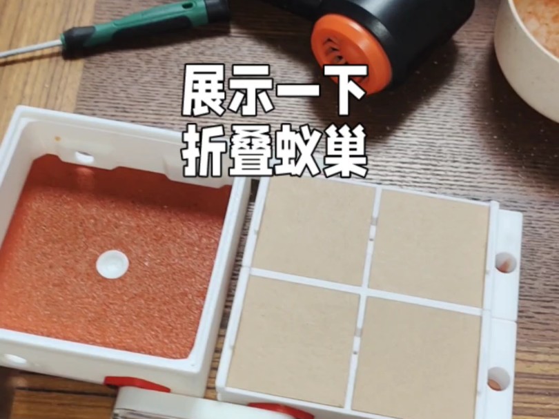 蚂蚁,蚁巢,