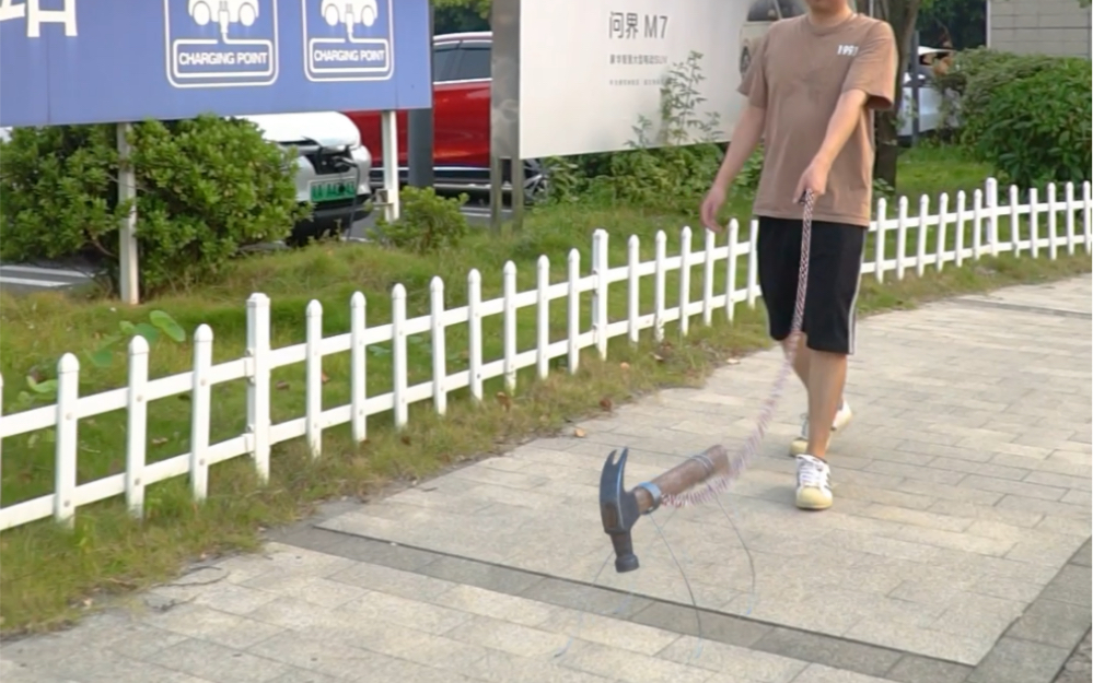 看下我的宠物细狗