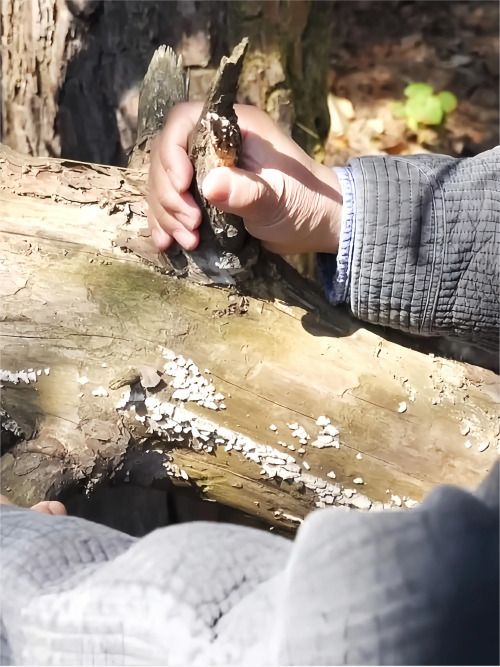 树脂圆珠笔制作全过程,号称百年不腐千年不烂,这才是真正的工匠精神