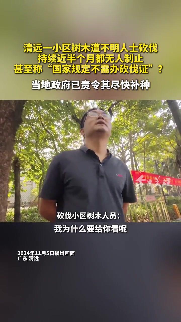 清远一小区树木遭不明人士砍伐称“国家规定不需办砍伐证”?