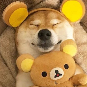 旺旺每天好好好 