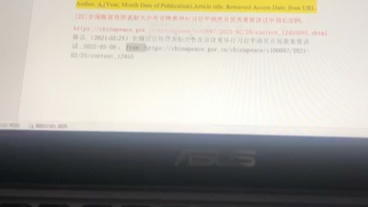 论文里政府文件累如何引用?