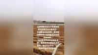 山西明确农业生产发展资金使用范围 日前,省财政厅和省农业农村厅...