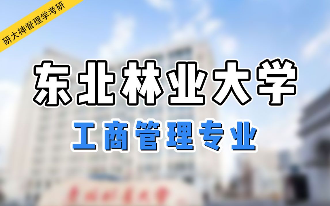 【管理学考研】圆圆学姐带你了解东北林业大学工商管理专业考研!