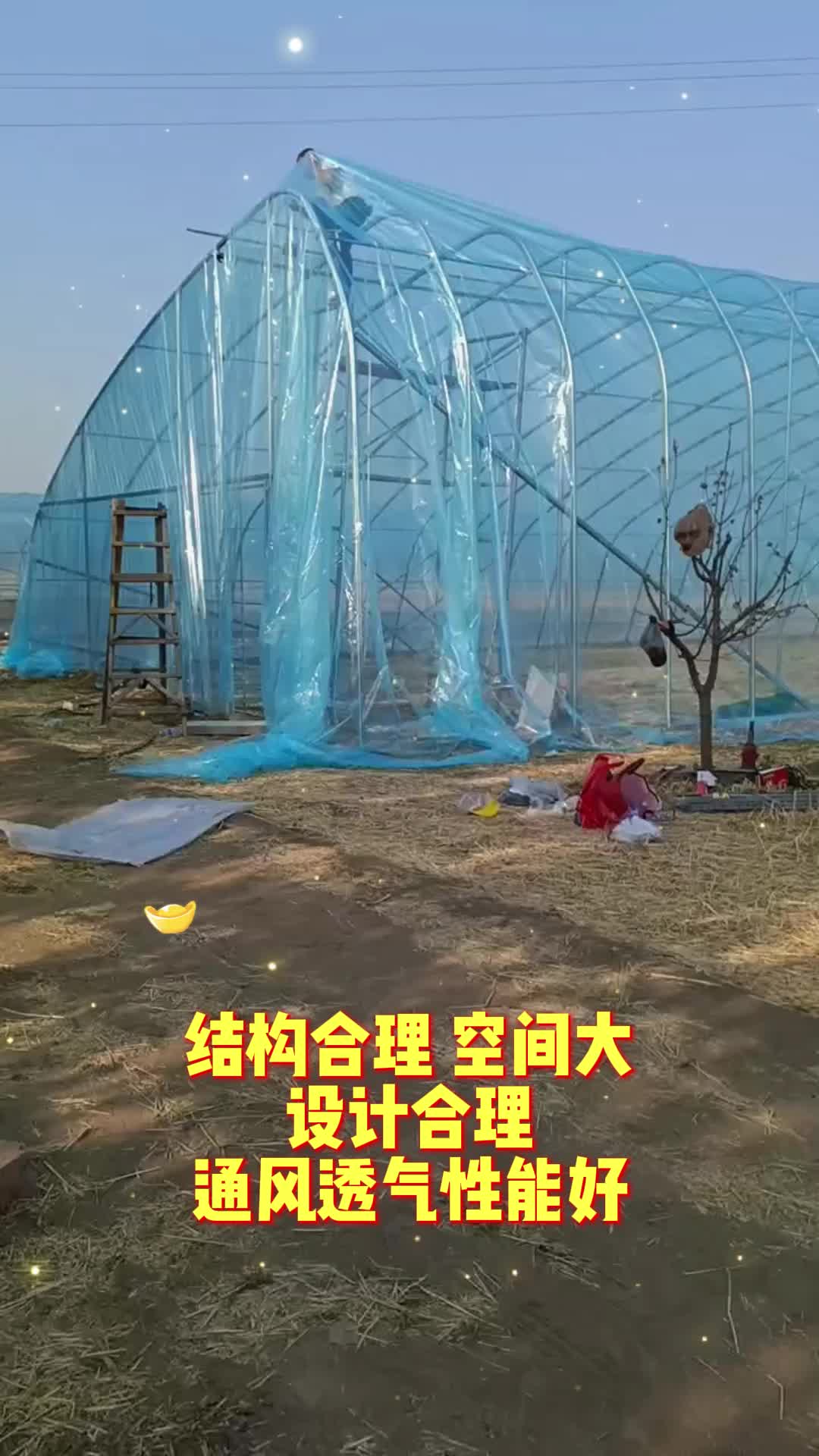 结构合理,空间大,设计合理,通风透气性能好 #黑龙江暖棚定做 #吉林...