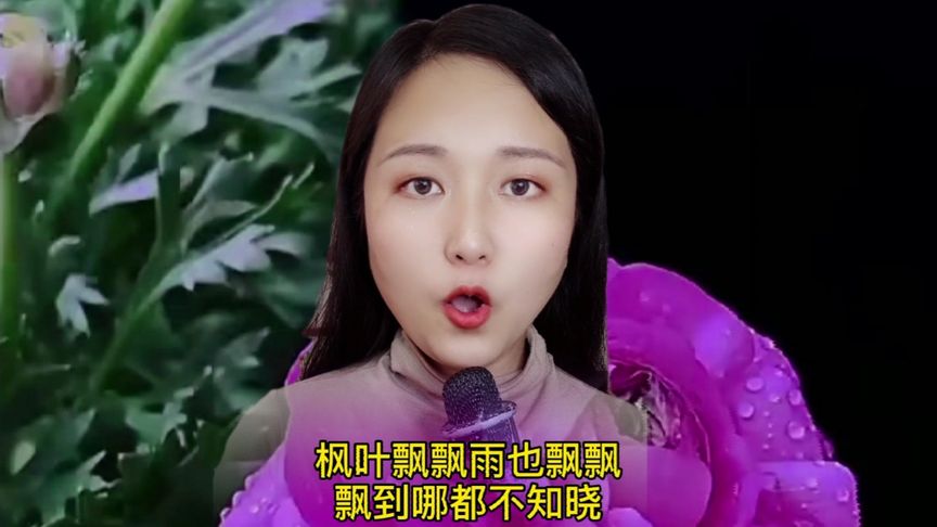 一段《人生就是一场梦》好听心碎