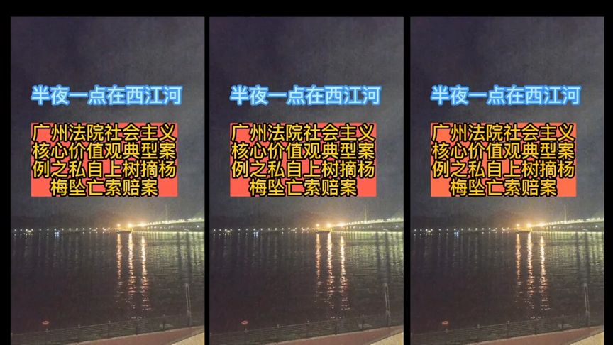 半夜讲社会主义核心价值观典型案例之私自上树摘杨梅坠亡索赔案