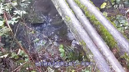 命运之殇下(交通事故教育警示片)