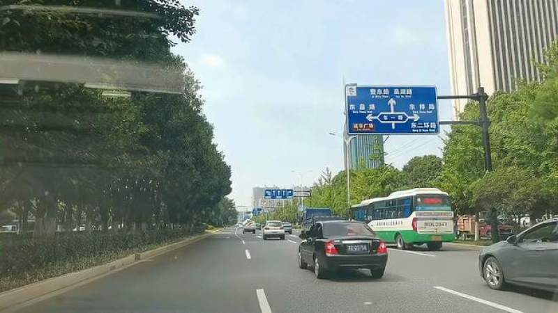 在诸暨市区溜达溜达,市区绿化很多
