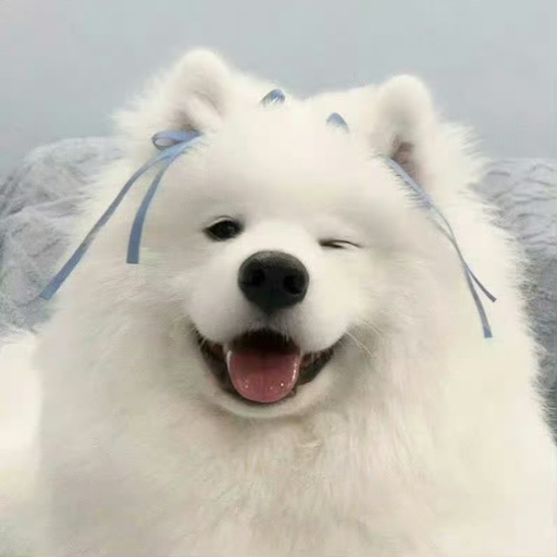 不作甲乙丙丁 