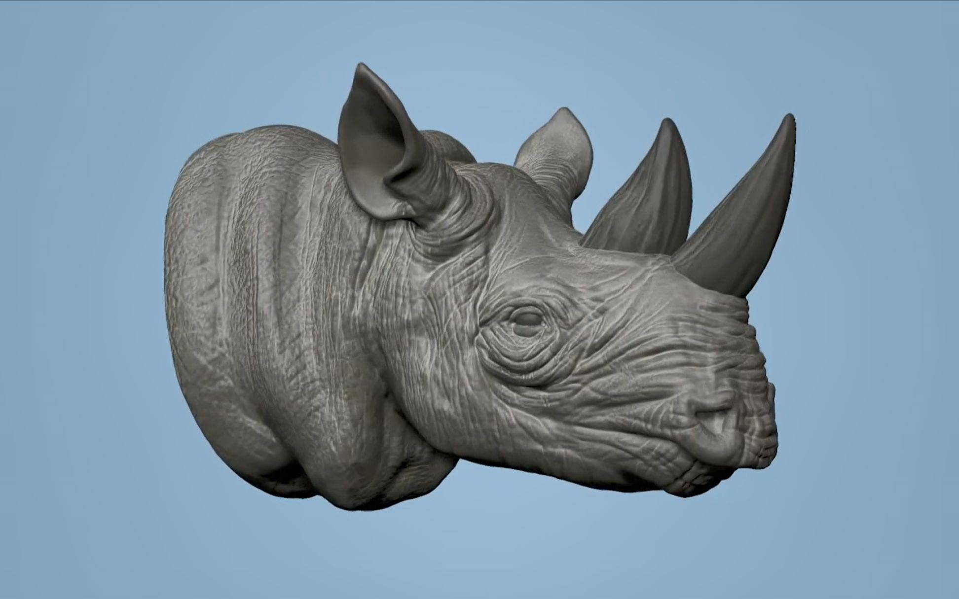 【3D建模】使用ZBrush雕刻制作犀牛3D模型