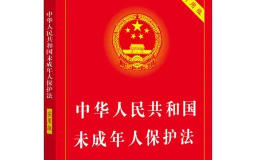 未成年人保护法的介绍及相关案例