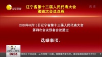 第一时间 辽宁卫视 2020 辽宁省第十三届人民代表大会第四次会议议程
