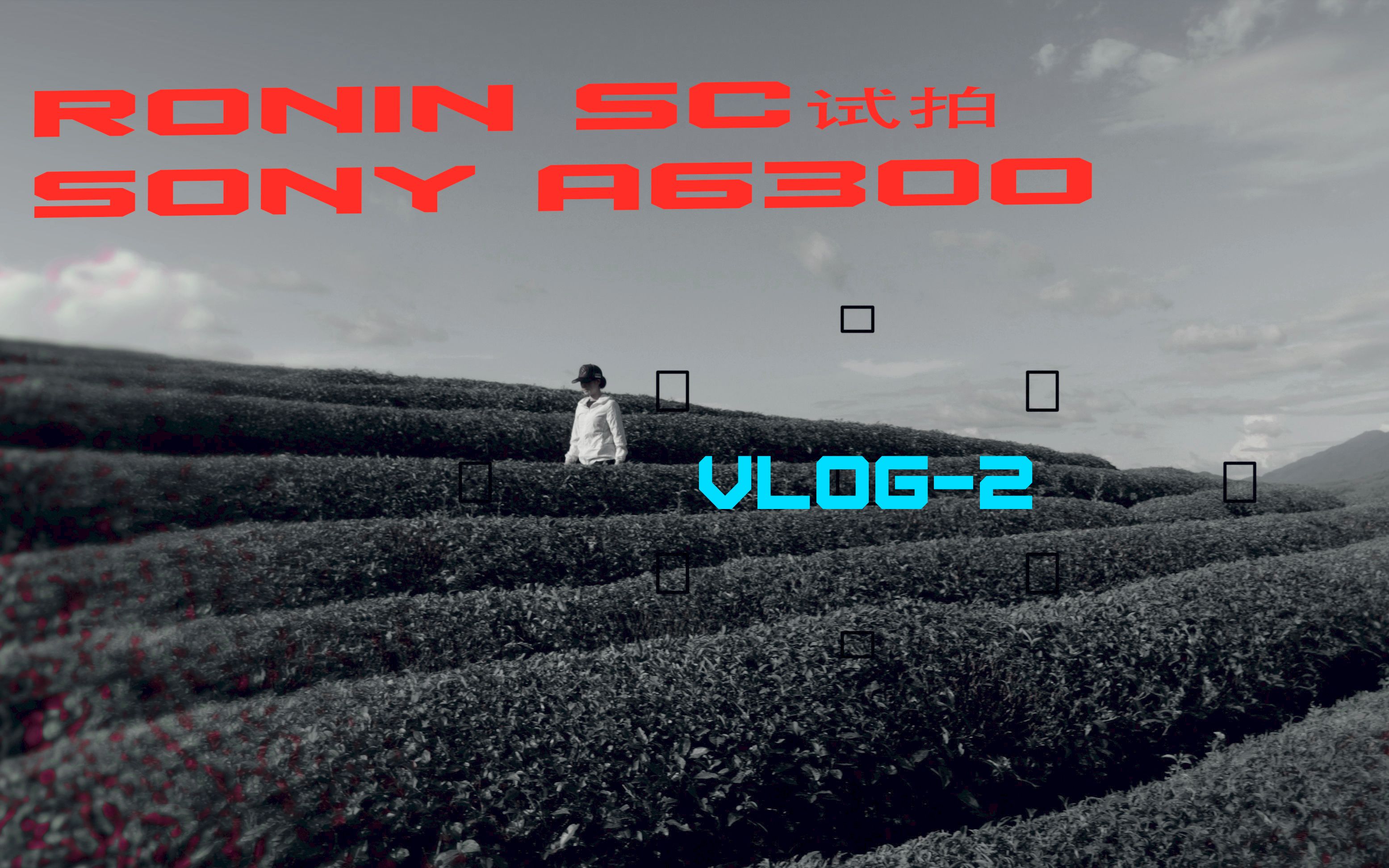 【vlog2】狠下心买了如影SC,搭配索尼6300,效果还算满意!你觉得呢?