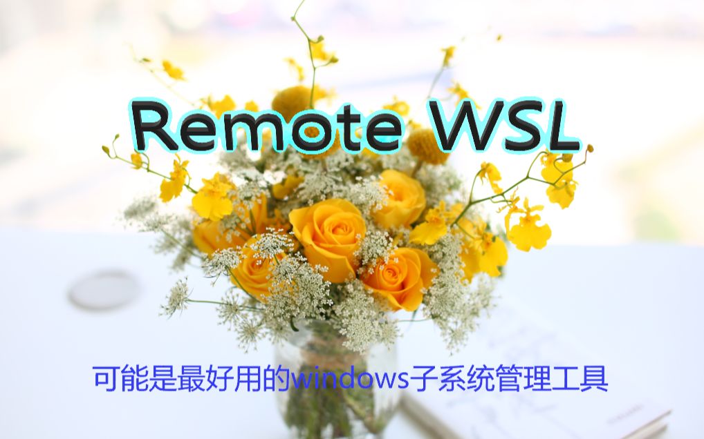 VSCODE非常好用的windows wsl子系统管理插件