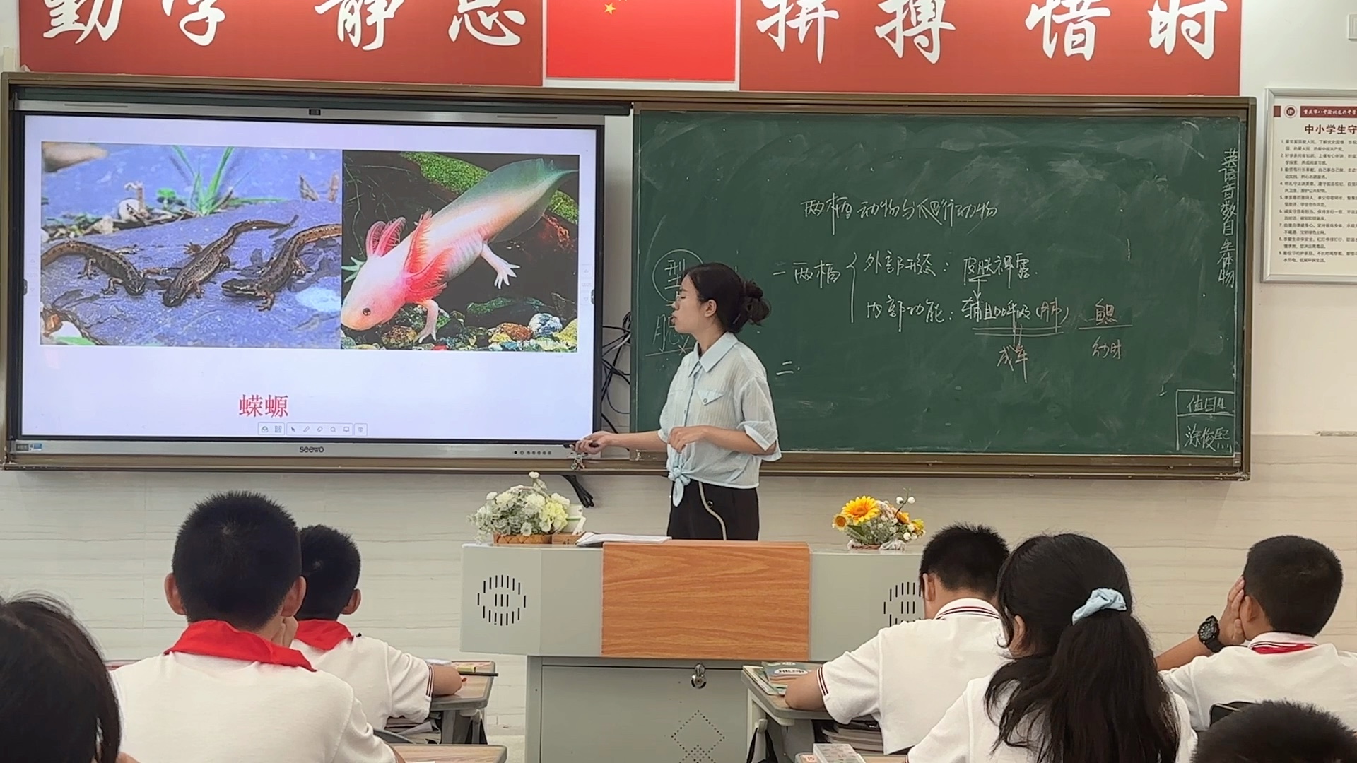 八年级上册生物第五节《两栖动物和爬行动物》课堂实录