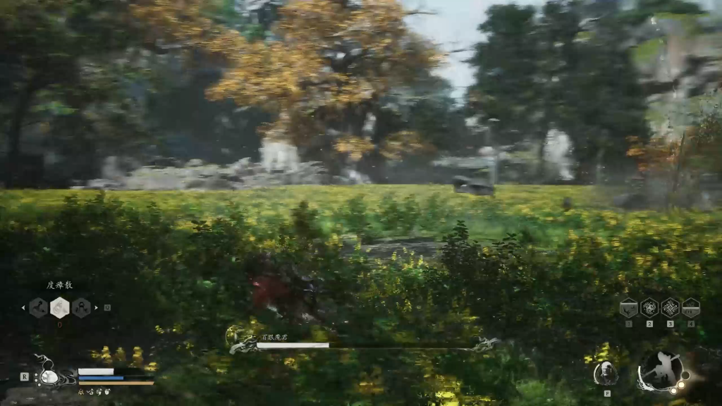 ...不让变身 不让定身 气减一半 看不清 迷之判定点 像什么异常状态和...