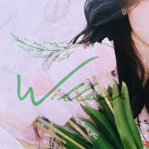 Willow的梦之屋 