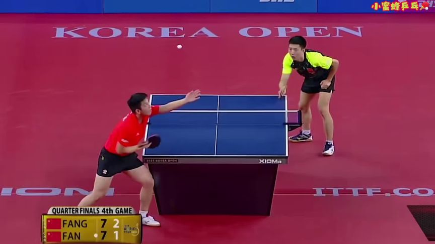 樊振东精彩球合集 “暴力熊猫”.#乒乓球 #国乒yyds #精彩瞬间